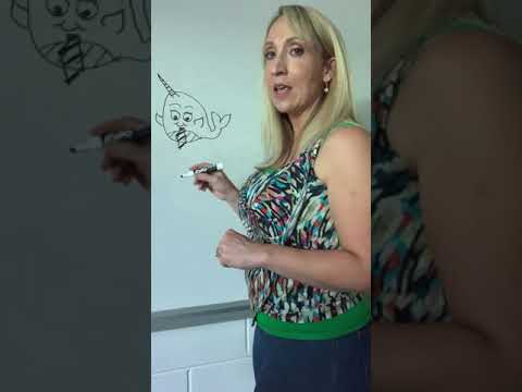 Practice words for family members in Spanish with Mrs. Hernandez and learn to draw cartoon narwhals