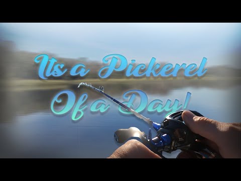 Its A Pickerel Of A Day! ( First CRAPPIE Out Of This Lake! )