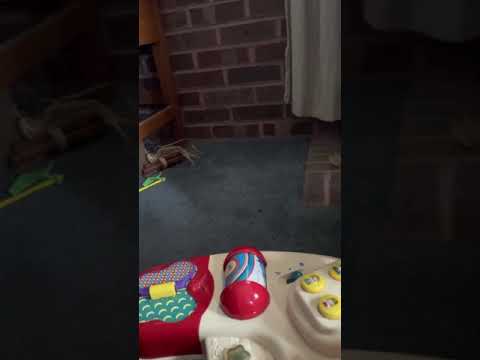 VTech Little smart learning center review and demonstration