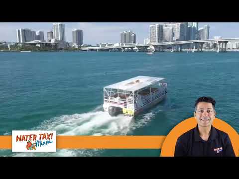 Water Taxi Miami vs the Boat Tours from Bayside Marketplace