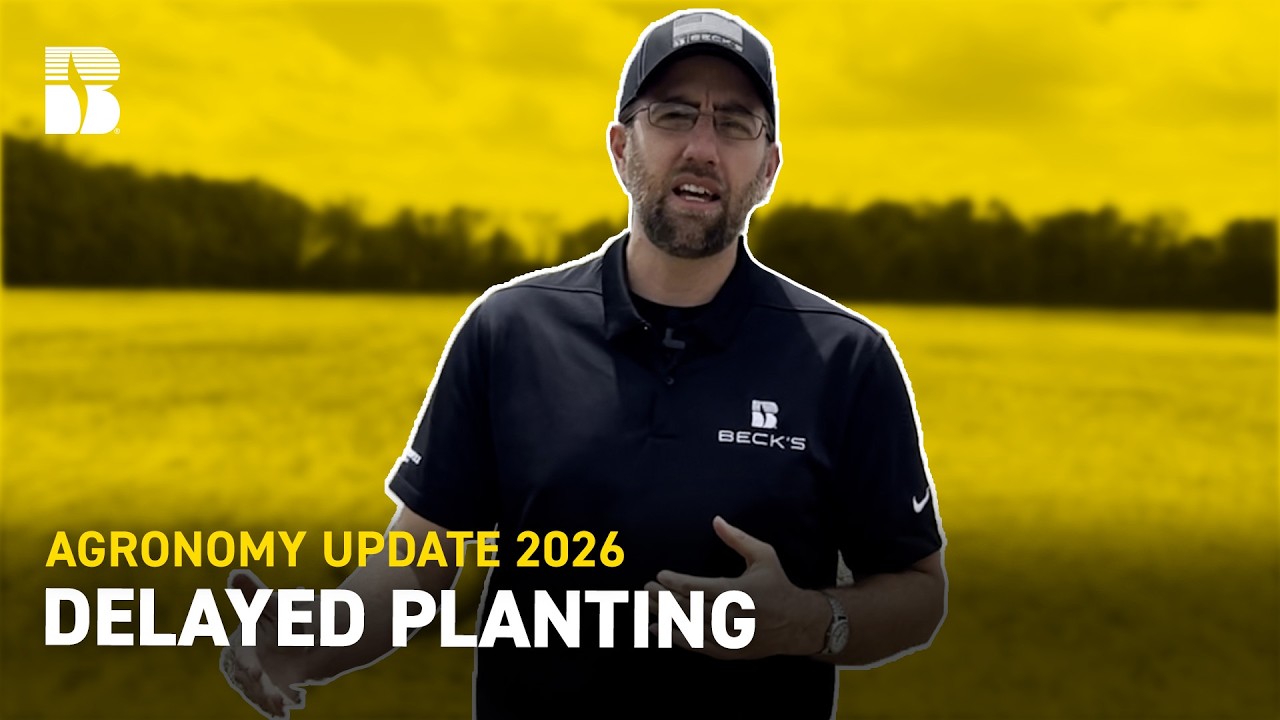 Delayed Planting | Beck's Agronomy Update