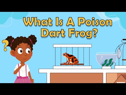 What Is A Poison Dart Frog? | Animal Facts For Kids | Facts About Lizards | Types of Frogs