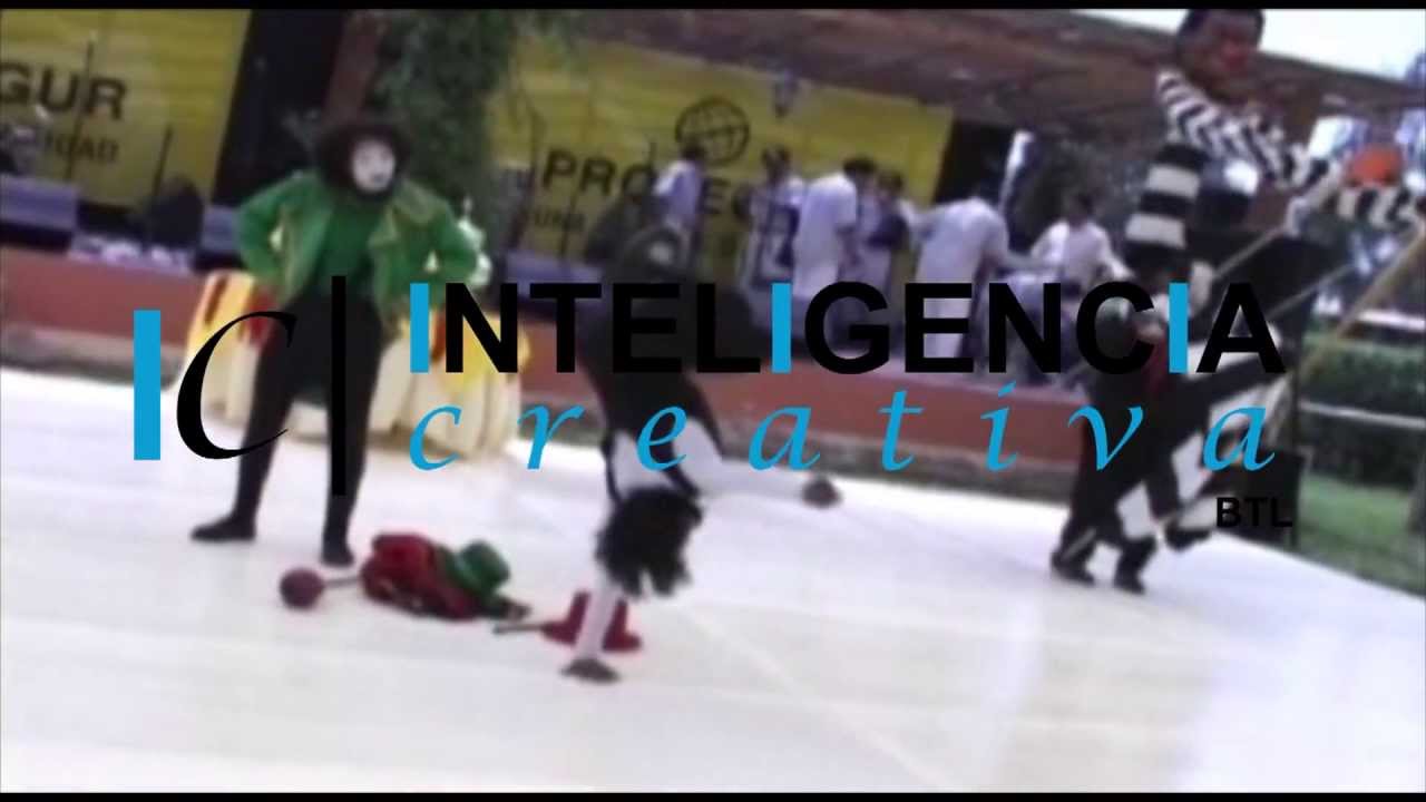 REEL IC BTL 2013