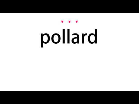 How to pronounce pollard - Vocab Today
