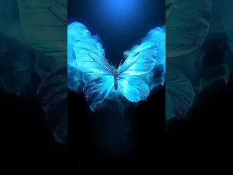 Nature Beautiful butterfly gif animation
