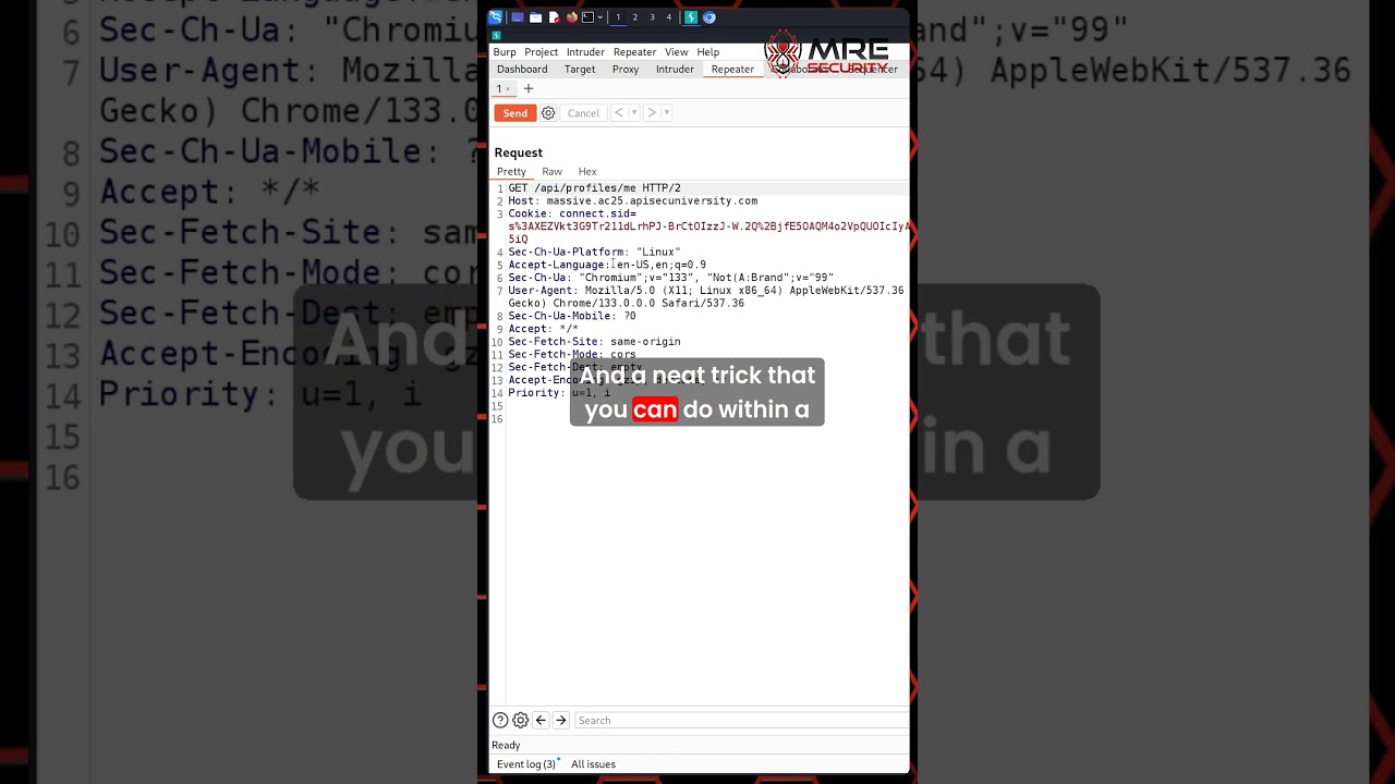 Can You REALLY Change API Requests in Seconds with Burp Suite