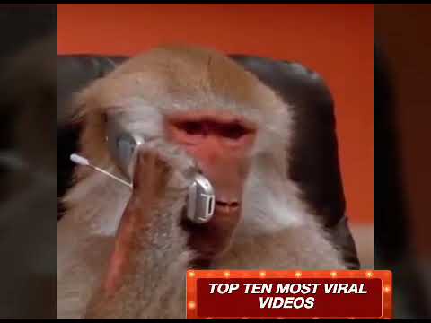 Top 9 Most Viral Videos On Whatsapp 2018