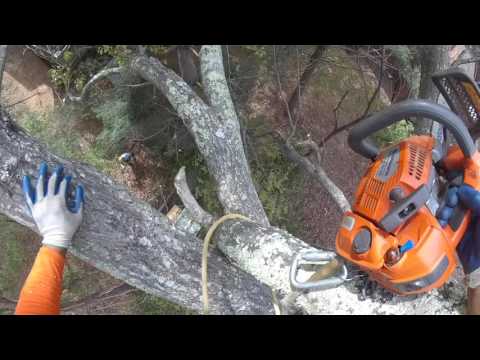 ‘Tree Man’ undergoes life-changing surgery to remove 11 pounds of warts ...