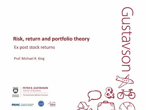 Michael R King COM371 11a Ex post stock returns