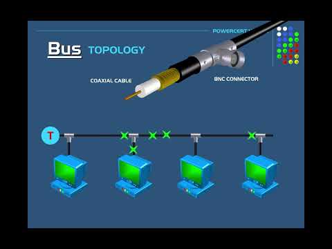 Network Topologies Star, Bus, Ring, Mesh, Ad hoc, Infrastructure, & Wireless Mesh Topology