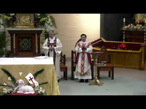 Epiphany of the Lord Catholic Church Live Stream