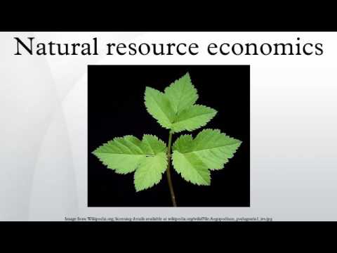 Natural resource economics