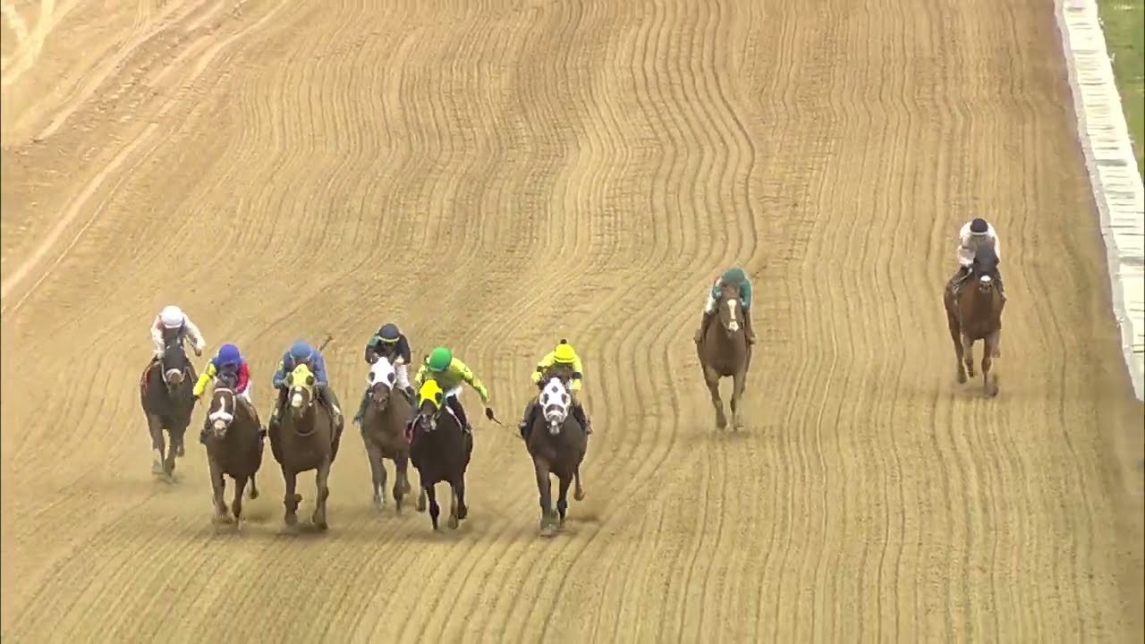 Race 5 Master 2026/05/13