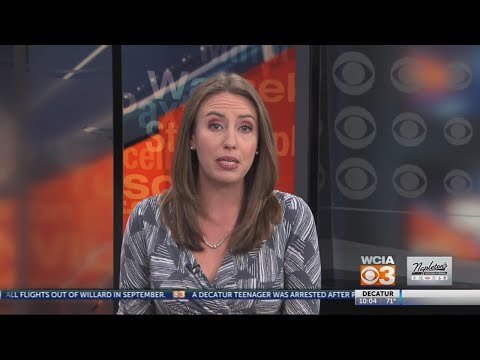 tularemia kills animals