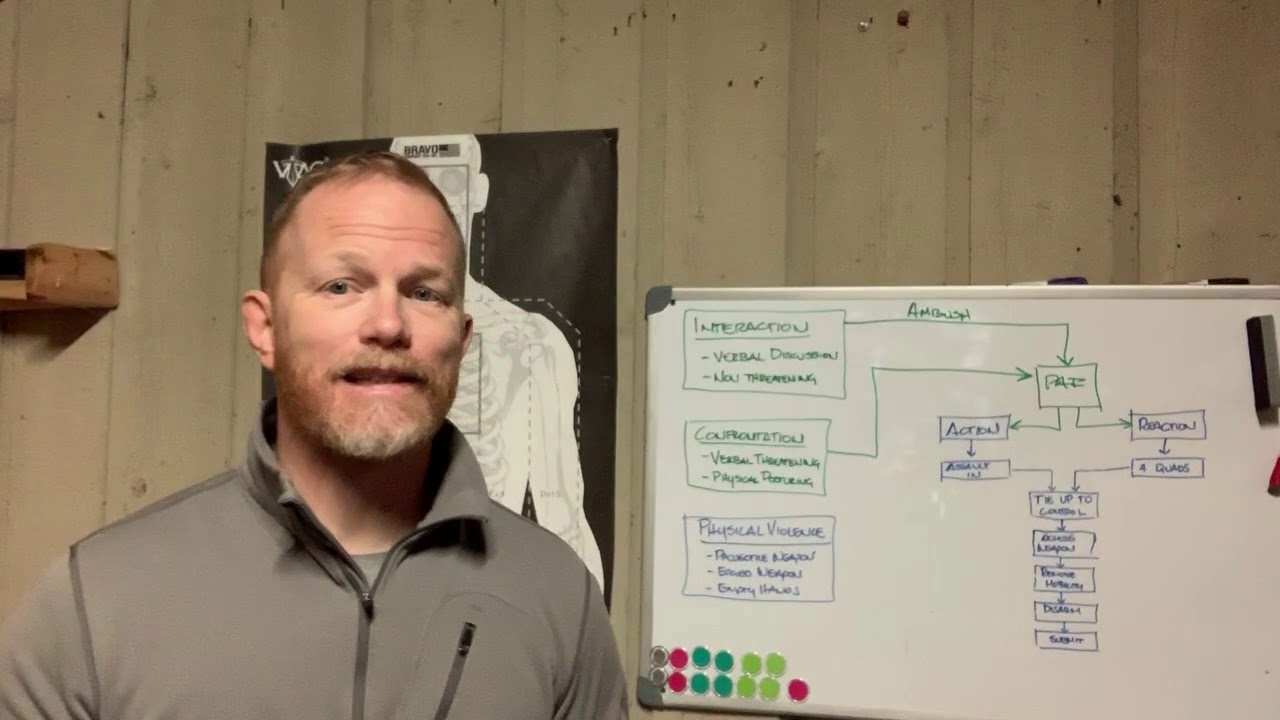 Fight Model 5 Interaction vs Confrontation
