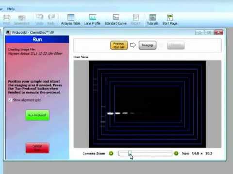 Image Lab Software from Bio-Rad Laboratories | Canadian BioTechnologist2.0