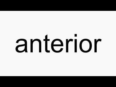 How to pronounce anterior