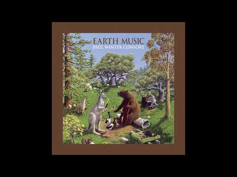 “Cathedral Forest” - Earth Music