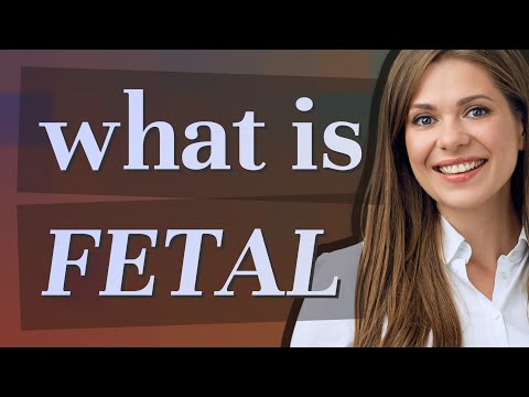 Fetal | meaning of Fetal