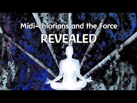 Midichlorians and the Force Revealed – Our Spirit