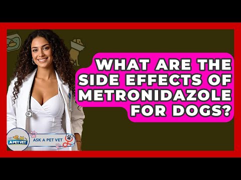 What Are The Side Effects Of Metronidazole For Dogs? - Ask A Pet Vet