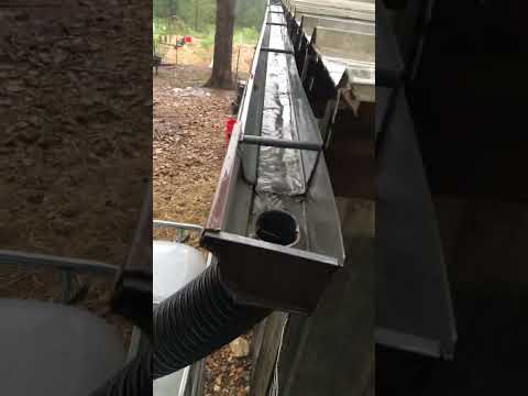 Rain water harvesting in the rain