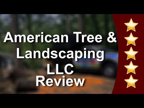American Tree & Landscaping LLC - Five Star Review for Tree Service Near Me
