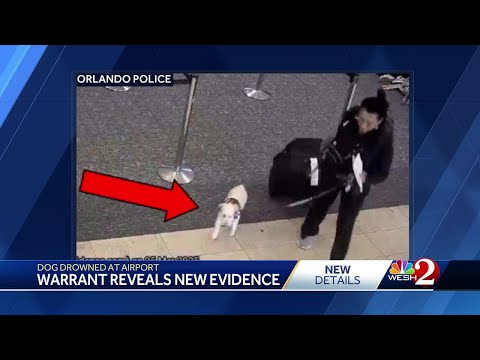 Woman told she couldn't take her dog on flight so she drowned it in Orlando airport bathroom, pol...
