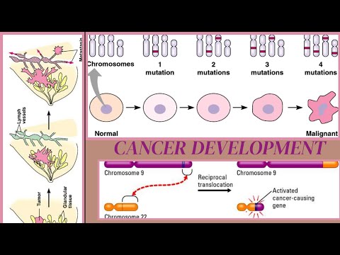 Introduction to Cancer Biology (Part 2): Tissue Invasion and Metastasis