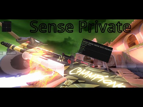 Best Valorant Cheats on Market | Ft.Sense Private 🎯