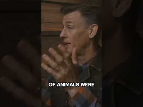 Fossils Are NOT a Result of Evolution