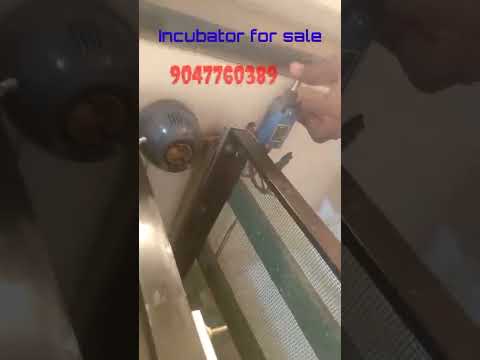Incubator for sale lowest price 9047760389 #incubatorforsale#incubator#chickenIncubatormanufacturing