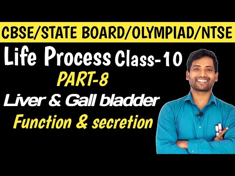 function of liver | bile juice in hindi | gallbladder function | Biology boostup