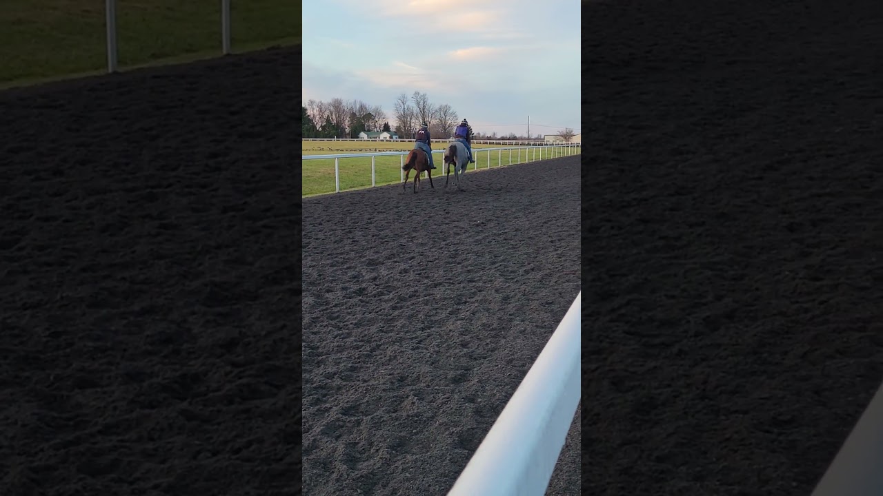 Navarrete Stables