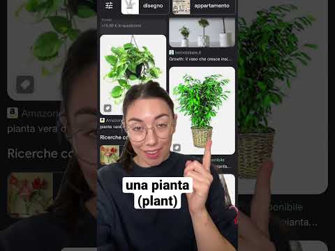 Italian word PIANTA - 3 Different Meanings
