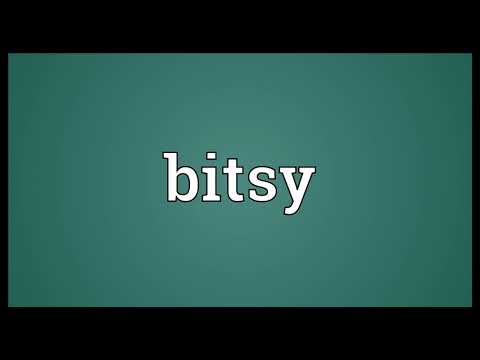 Bitsy Meaning