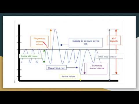 AQA GCSE PE - Lung Volumes