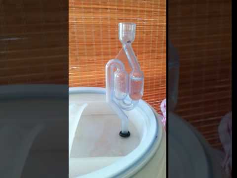 Bubbling Fermenter Airlock