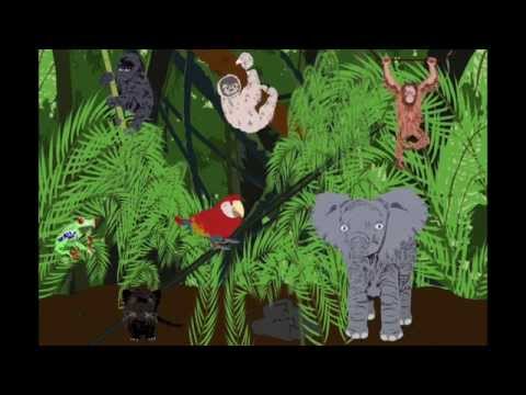 Endangered Animals - Protecting Animals Around the World
