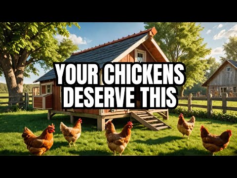 Best Chicken Coops 2024 - The Only 10 You Should Consider Today