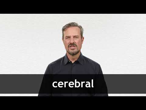How to pronounce CEREBRAL in American English