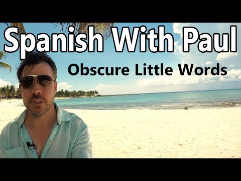 Obscure Little Words - Spanish With Paul
