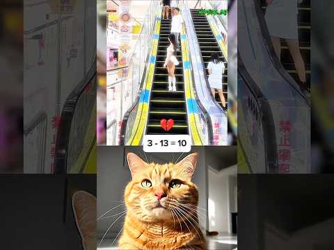 up down 😅🤣 #funny #memes #cat