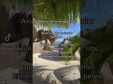 Axial vs Appendicular Skeleton #shorts #medicine