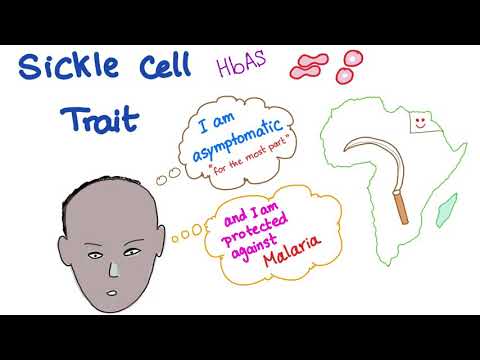 Sickle Cell Trait