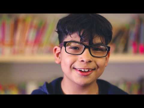 Chan Zuckerberg Initiative and Vision To Learn