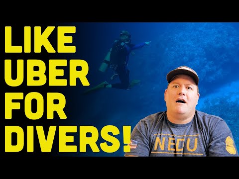 When Should You Hire A Private Dive Guide?