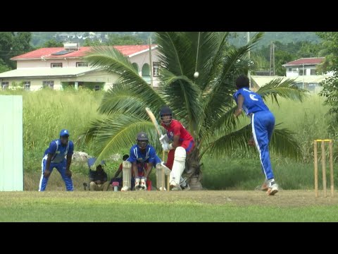 Lodge defeated by 4 runs