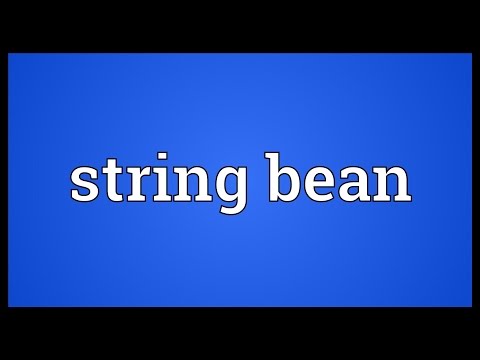 String bean Meaning