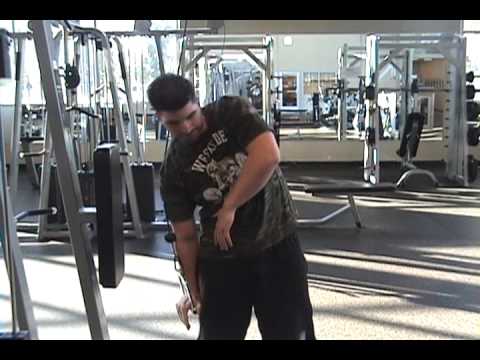 Reverse Cable Side Bend | Exercise.com